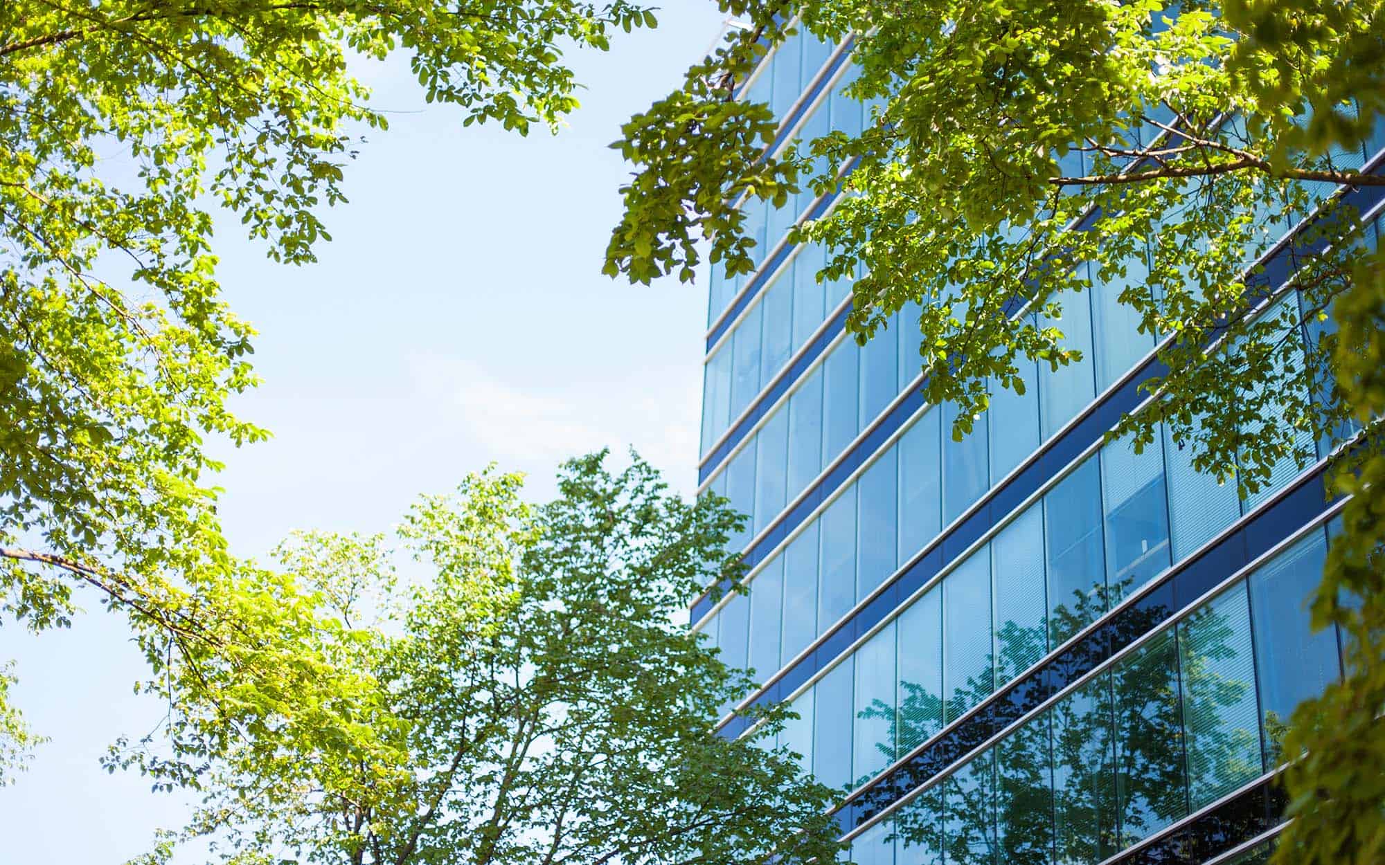 Right People, Reliable Experience | Prestige Maintenance USA